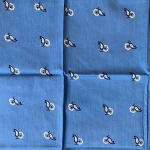Vintage | Accessories | Vintage Fast Color Sky Blue Paisley Bandana ...